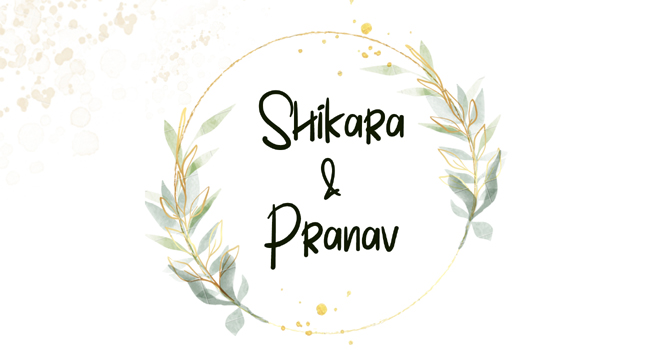 Shikara & Pranav - Premium Live Streaming Services in India